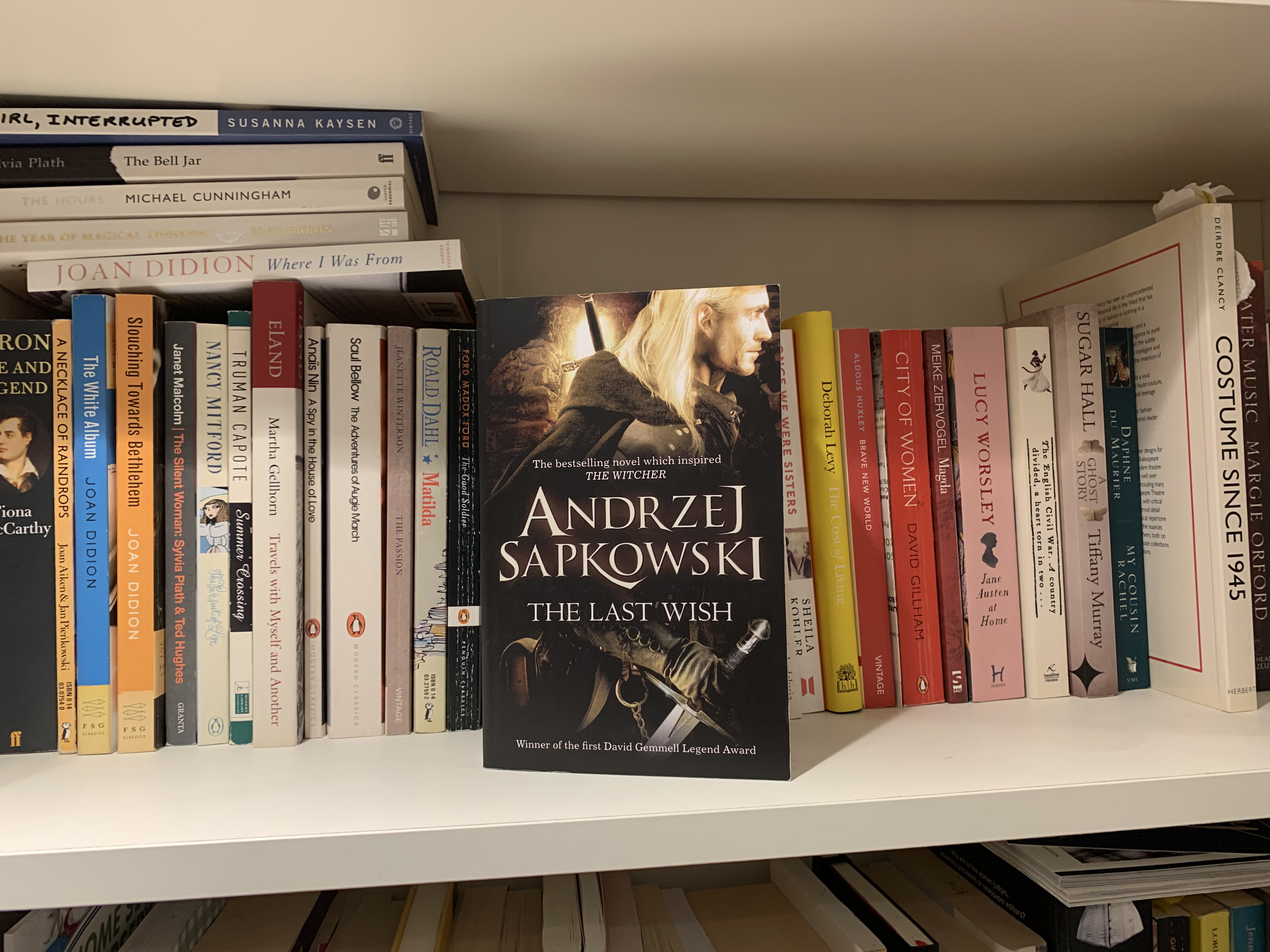 The Last Wish by Andrzej Sapkowski, tr. Danusia Stok (1993, 2007 ...